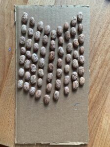 Texture — Actual vs Implied Texture in Art and Design - artsz.org